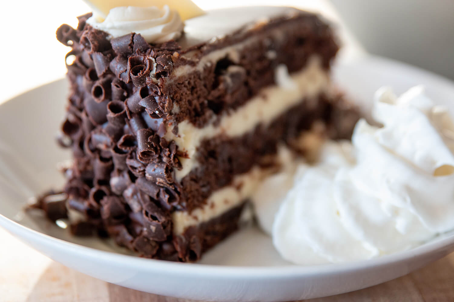 Gallery - The Silver Spring House