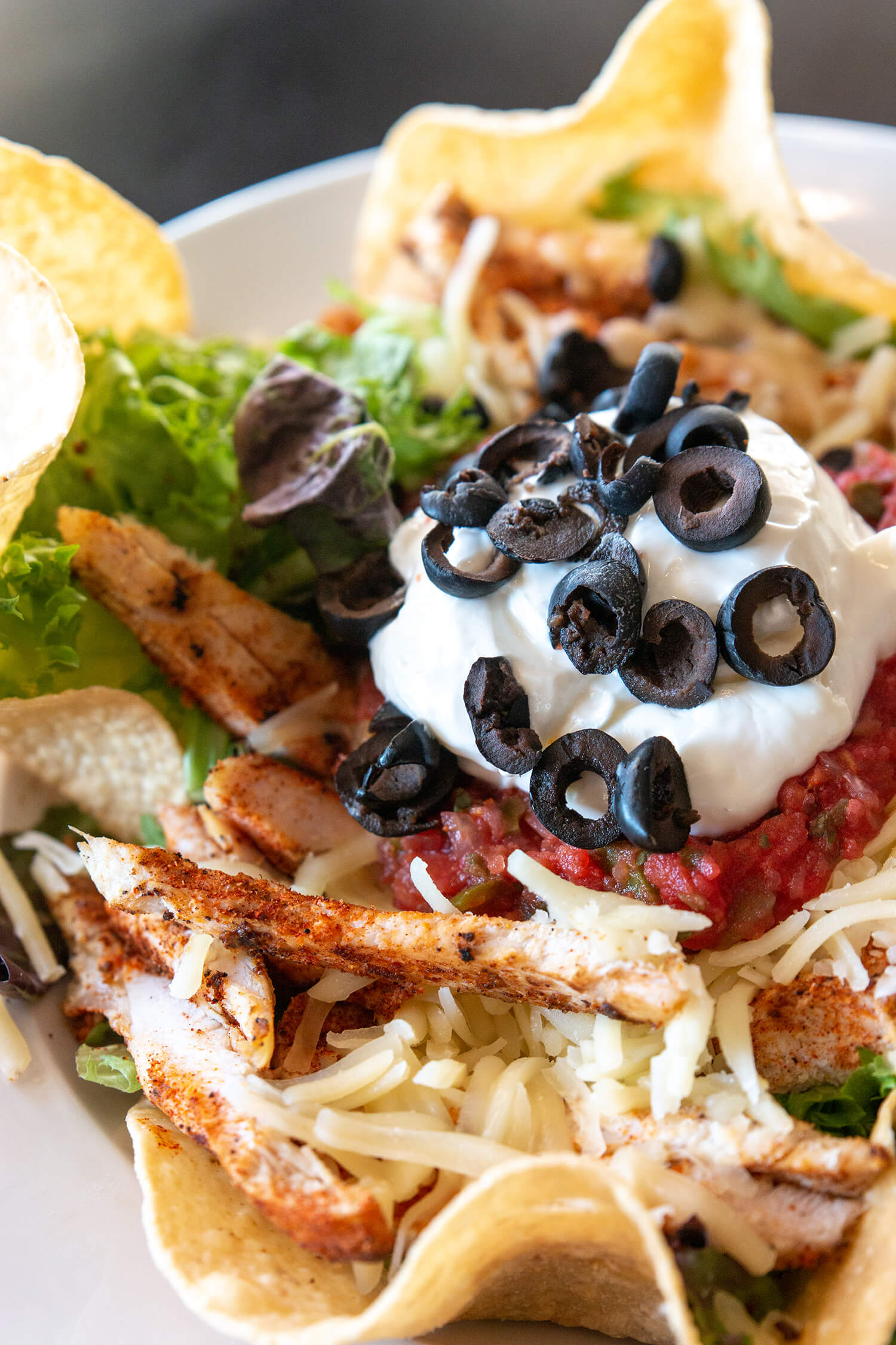 Gallery - The Silver Spring House