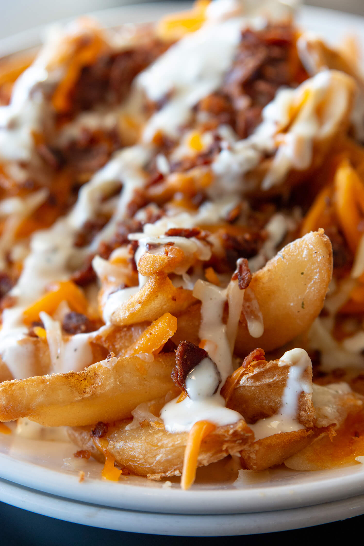 Gallery - The Silver Spring House