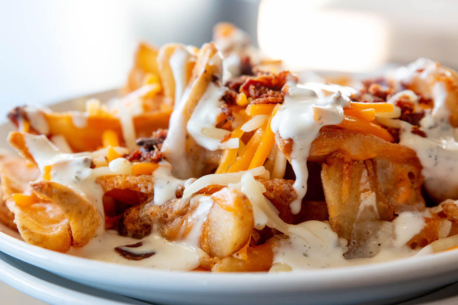 Gallery - The Silver Spring House