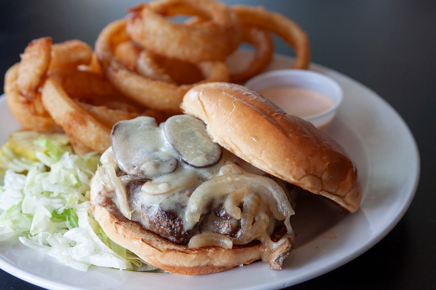 Gallery - The Silver Spring House